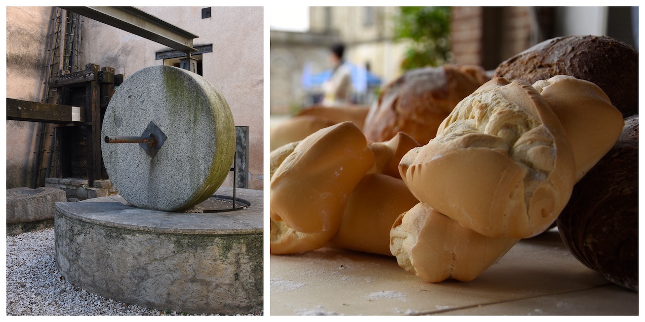 Pane Mantovano – Profumo di Broccoli