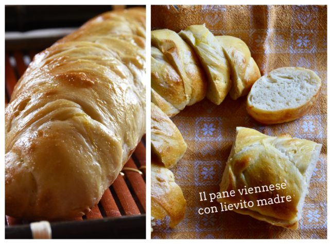 Pane viennese – Profumo di Broccoli